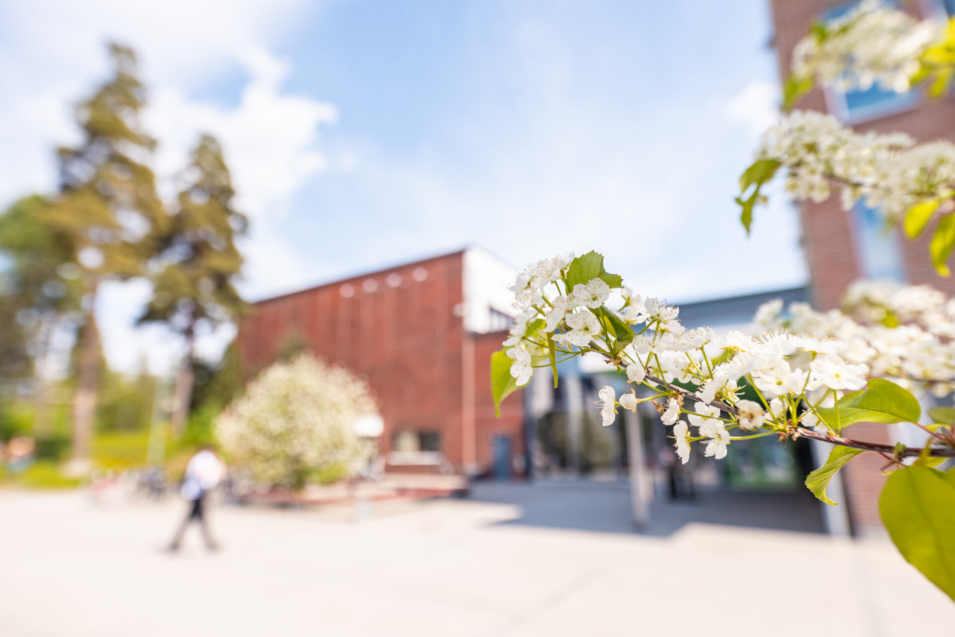 Tredu – Tampereen seudun ammattiopisto – Tampereen kaupunki